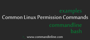 Common Linux Permission Commands - Command in Line
