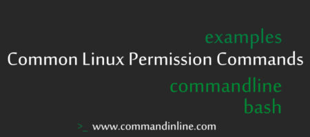 Common Linux Permission Commands - Command in Line