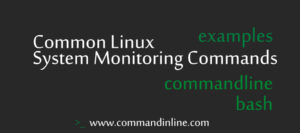 Common Linux System Monitoring Commands - Command in Line