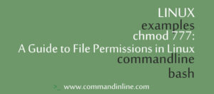 Understanding chmod 777: A Guide to File Permissions in Linux - Command in Line