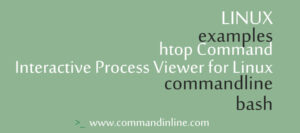 htop command [detailed] - Command in Line